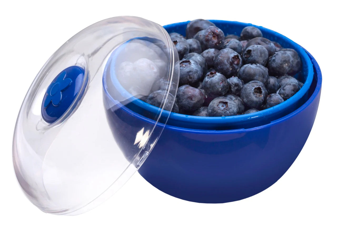 Blueberry Pod - Joie